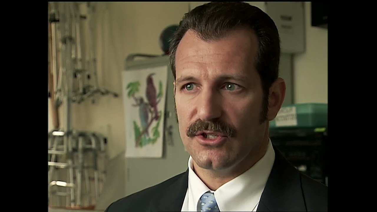 Coma (2007) | Documentary