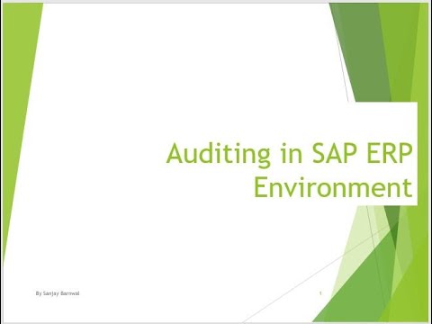Auditing in SAP Environment