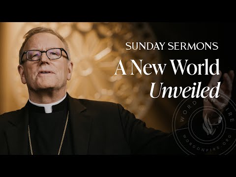 Bishop Robert Barron – Sunday Sermon for 33rd Sunday Year B – Quaerens