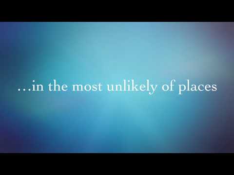 Updates: New Interview About Beyond What We Know – go.Jimmy.go