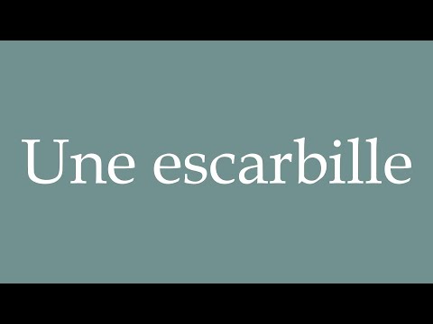 How to Pronounce ''Une escarbille'' (A cinder) Correctly in French