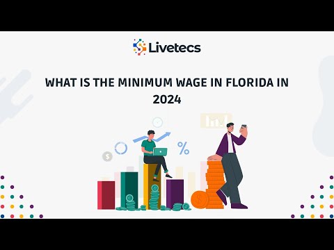 What Is the Minimum Wage in Florida in 2024 | Livetecs
