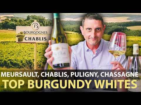 How are Meursault, Chablis, Puligny & Chassagne Montrachet Different? Top White Wines From Burgundy
