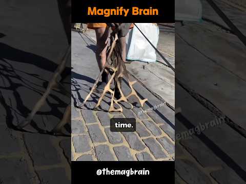 The Secret to Building Roads Without Bricks Revealed!