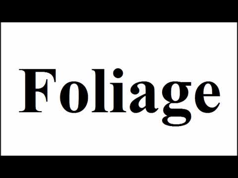 How to pronounce Foliage||How to say Foliage||Foliage Pronunciation||ABDictionary