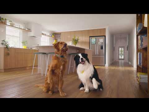 Pet Insurance with RAC