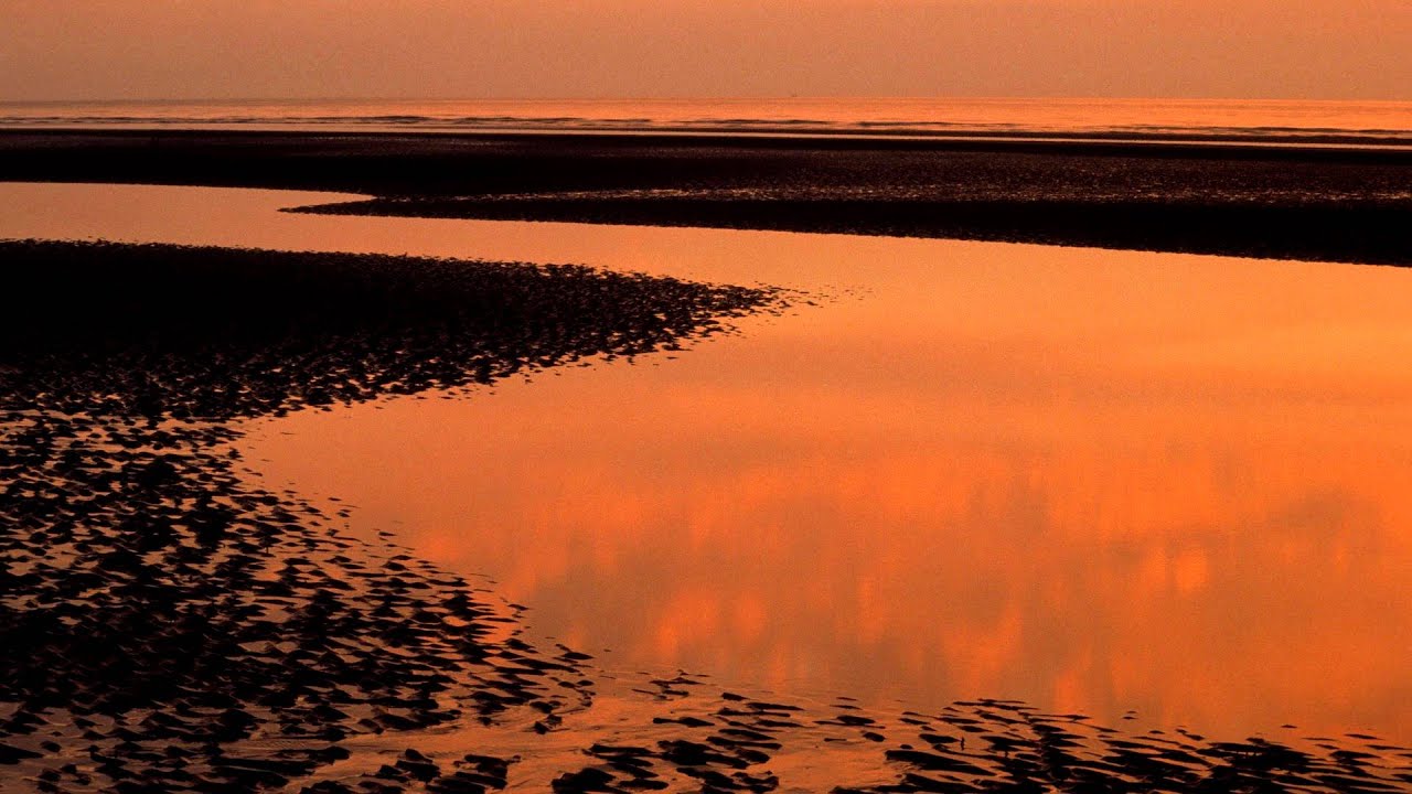 Luiz Henrique - Mas Que Nada