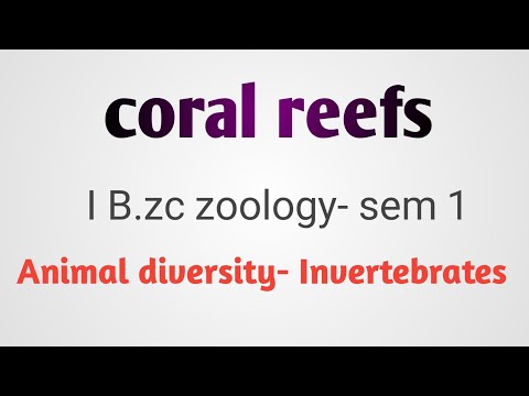 coral reefs in telugu/ coral reefs types