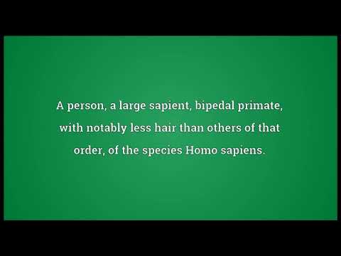 Meaning of Human Being