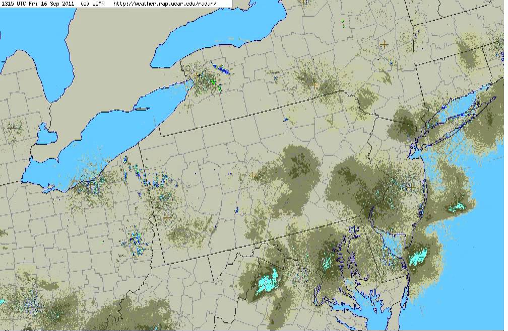 Broad-winged Hawk migration?