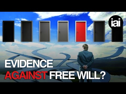 Can experiments settle the free will debate? | Julian Baggini, Peter Godfrey-Smith, Sarah Garfinkel