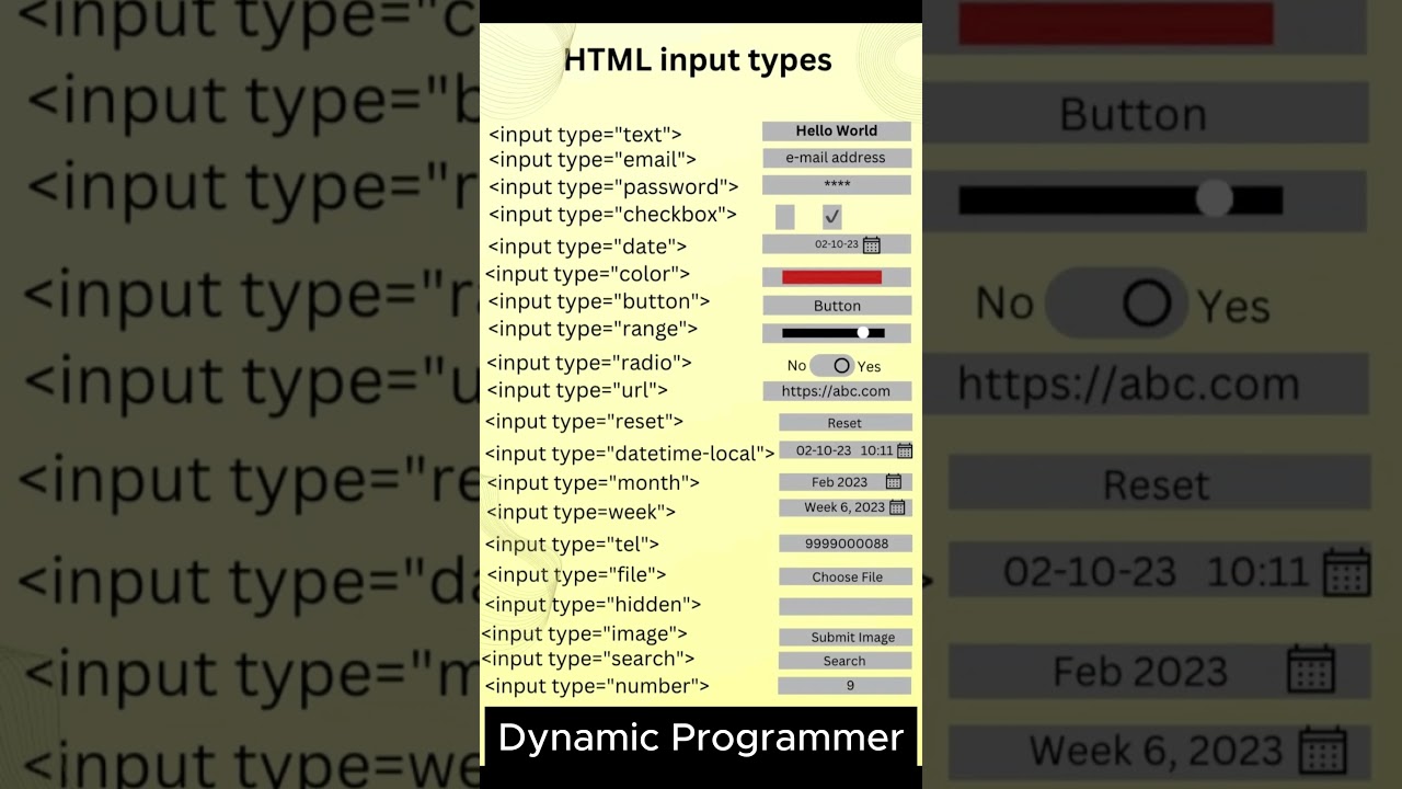 HTML Input Tags Expert with 5 Years Experience Shares Top Tips!