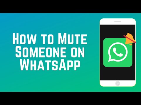 How to Mute Someone on WhatsApp | WhatsApp Guide Part 5