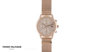 Tommy Hilfiger 1781907 - Zegarek Blake • Zegarownia.pl