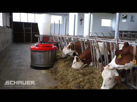 Futter Anschiebe Roboter