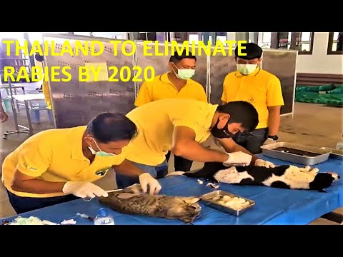 THAILAND TO ELIMINATE RABIES BY 2020