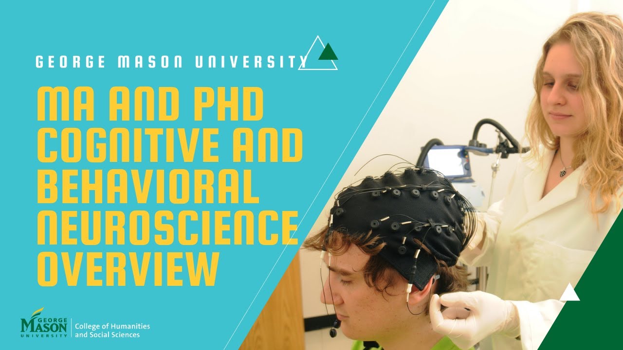 Cognitive and Behavioral Neuroscience Program Overview