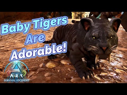 Steam Community :: Video :: Baby Tiger, Ovirators and a Garden for Kibble - Ark: Survival Ascended
