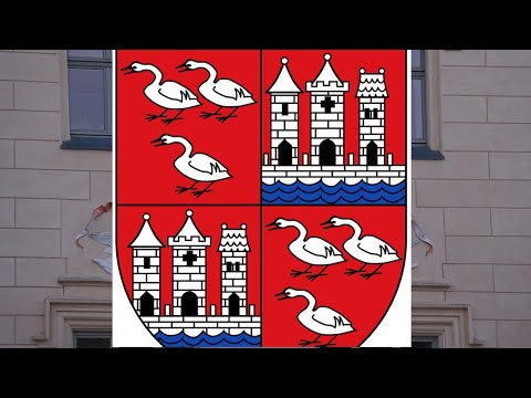 "Wir sind Zwickau" - Initiative ist am Start