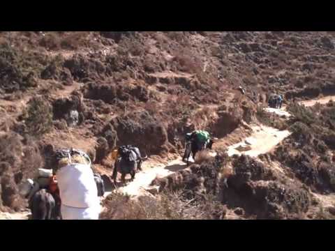 Climbing Mount Everest Series Part 1