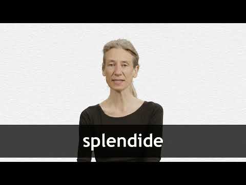 English Translation of “SPLENDIDE” | Collins French-English Dictionary
