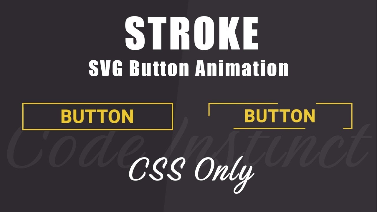 Button Border Animation on Hover using HTML and CSS