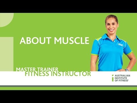 About Muscle