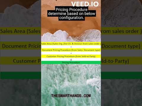 #58 How pricing procedure is determined in Sales Order?