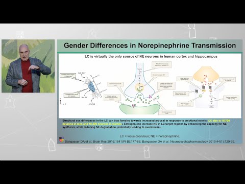 Gender Difference in Norepinephrine Signaling