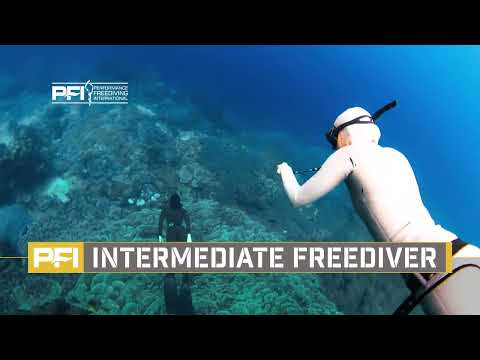 Intermediate Freediver Course - Performance Freediving International - PFI