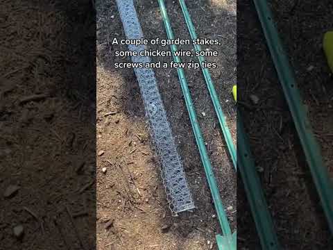Easy DIY garden trellis for cucumbers and other vining plants. #shorts #edenbrothers #gardening