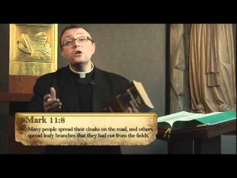 Why do Catholics use Palms?