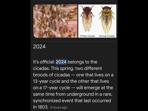 The Sign Of The Cicadas: What Happened in 1803?