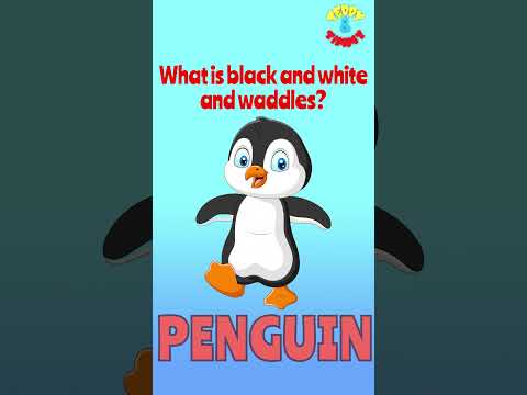 Riddles For Kids | YouTube Shorts | Penguin | Bird Name | Education | Fun Videos | Teddy and Timmy