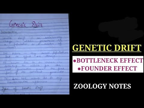 GENETIC DRIFT NOTES #bottleneckeffect #foundereffect #geneticdrift #populationgenetics #zoologynote