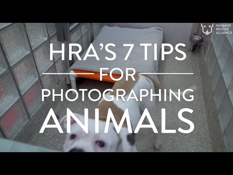 HRA's 7 Tips for Photographing Animals
