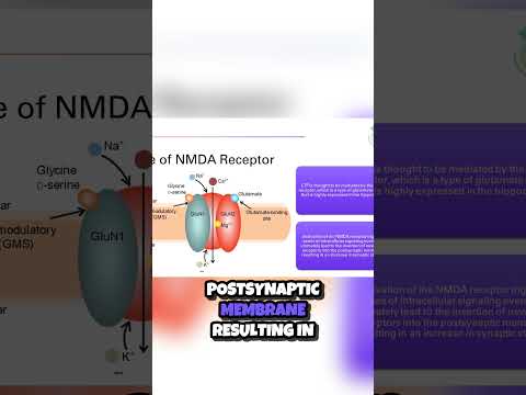 Unlocking Brain Power How NMDA Receptors Boost Synaptic Strength 🧠