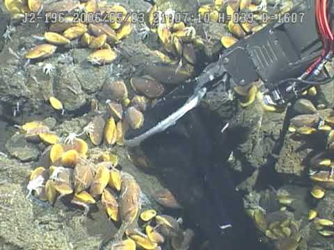 Mariana SRoF 2006 NW Eifuku Seamount #1