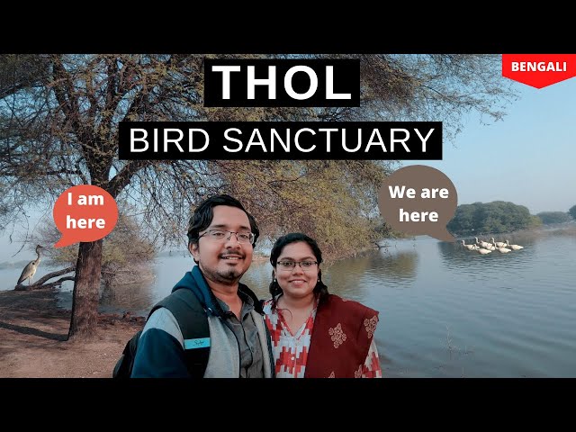 How to pronounce Thol | HowToPronounce.com