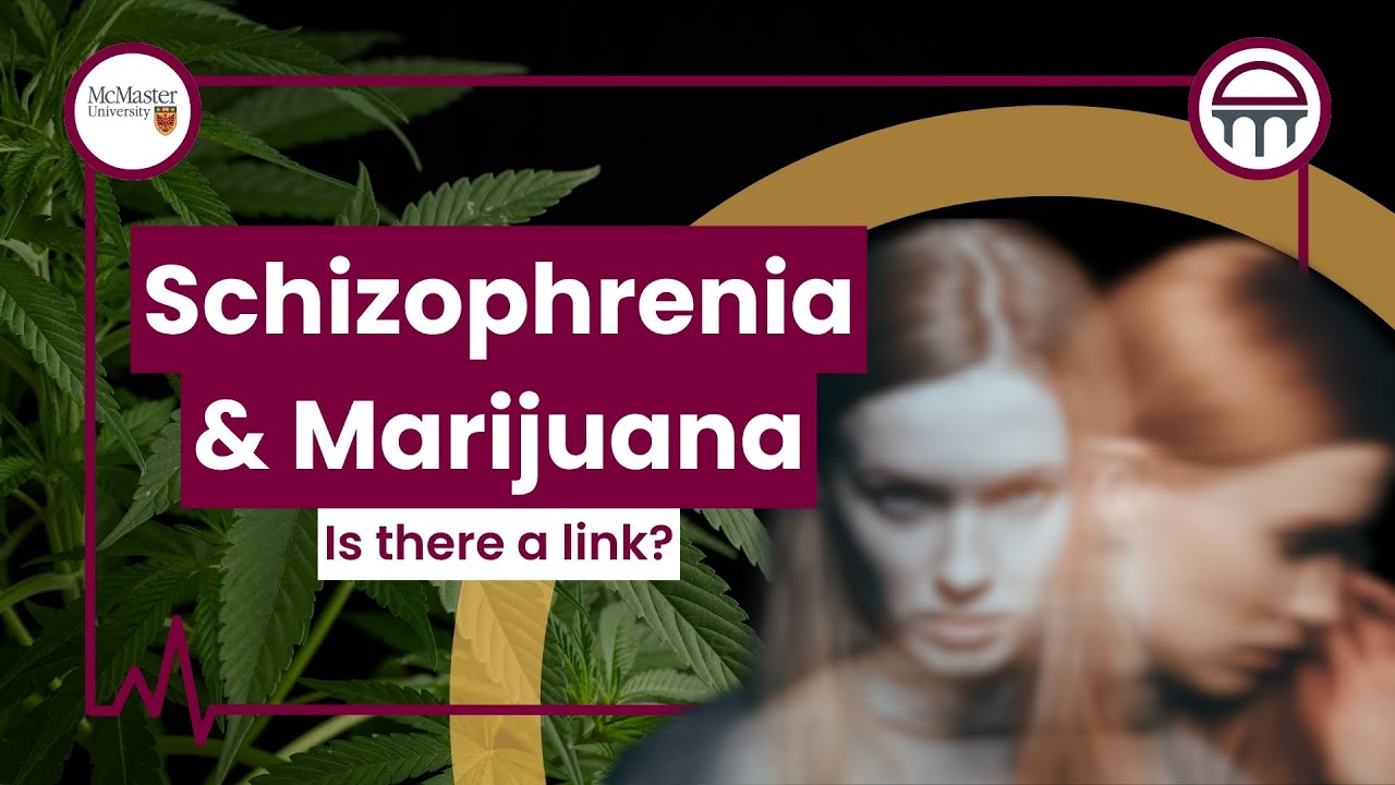 Does Marijuana Cause Schizophrenia?