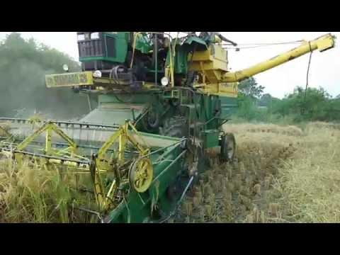 Paddy Harvester - Rice Harvester Latest Price, Manufacturers & Suppliers