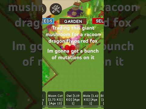Any trade? #roblox #trading