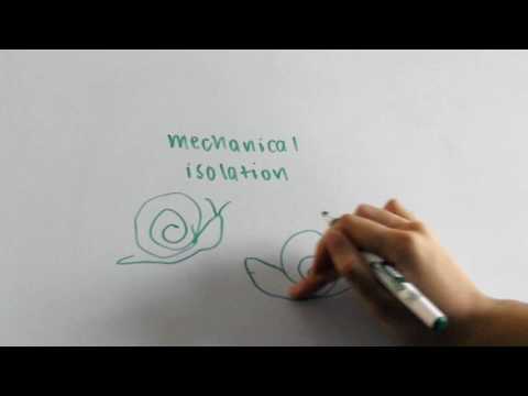 The Biological Species Concept