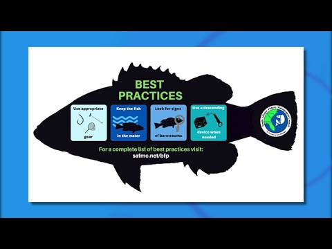 New Fishing Regulations Coming to South Carolina