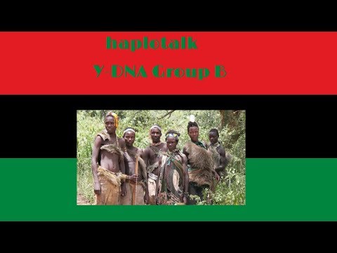 All the Haplogroups: Y DNA Haplogroup B (E0015)
