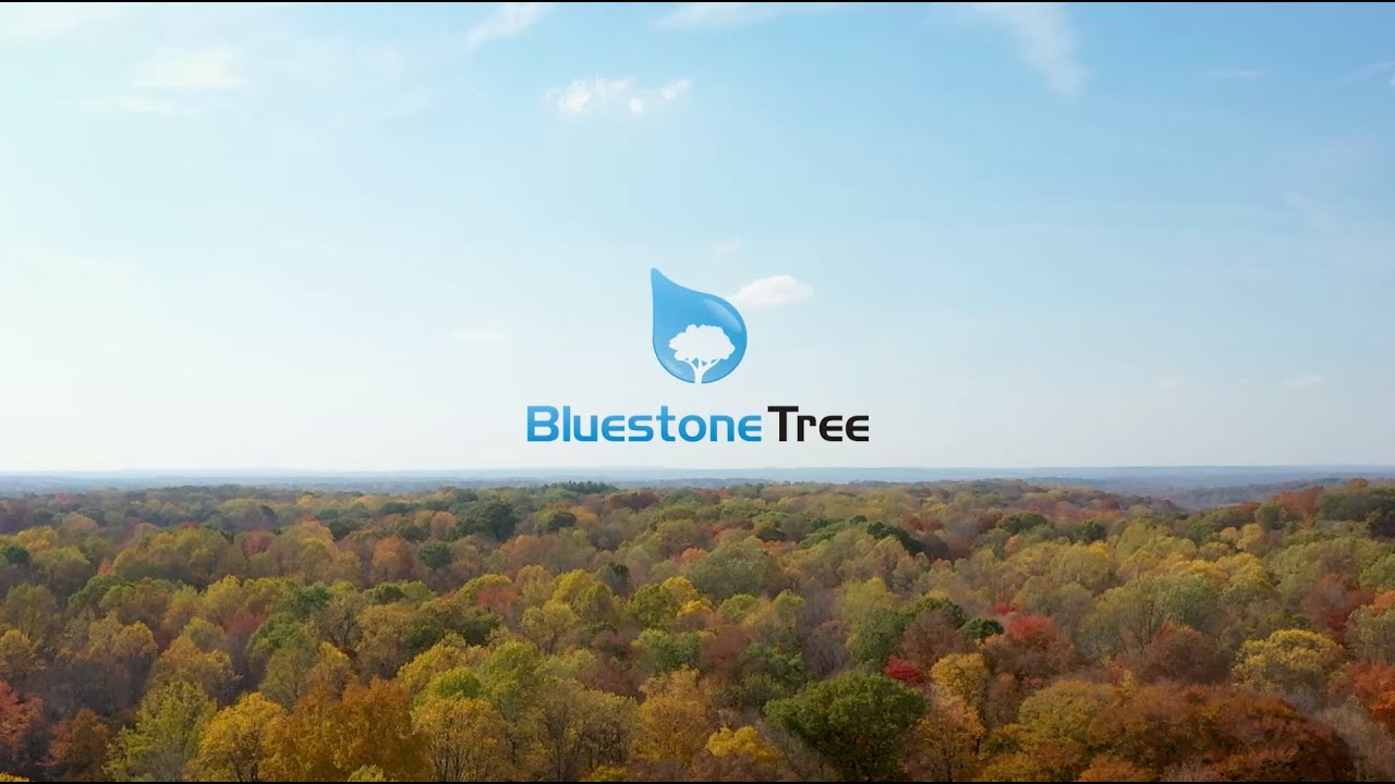 All About Bluestone Tree