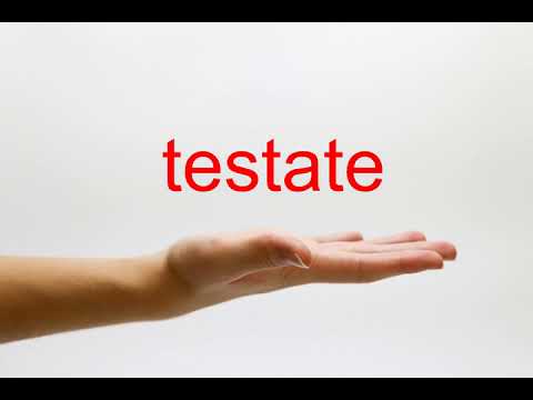 How to Pronounce testate - American English