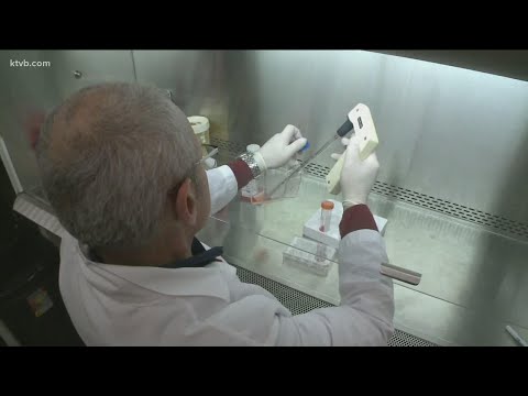 Coronavirus antibody test results show high rate in Blaine County