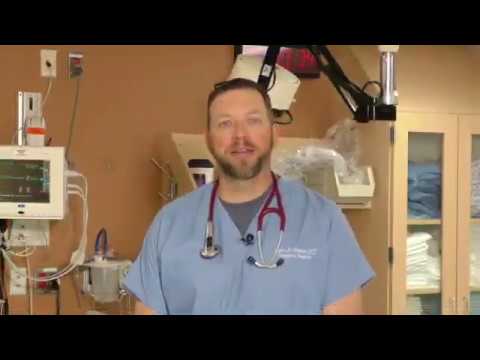 The Doc Is In- Of Viruses and Rashes- Viral Exanthems