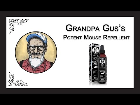 Grandpa Gus's 8 Oz. Ready To Use All Natural Mouse Repellent Spray | Do ...